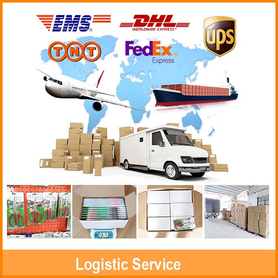 Logistic Service